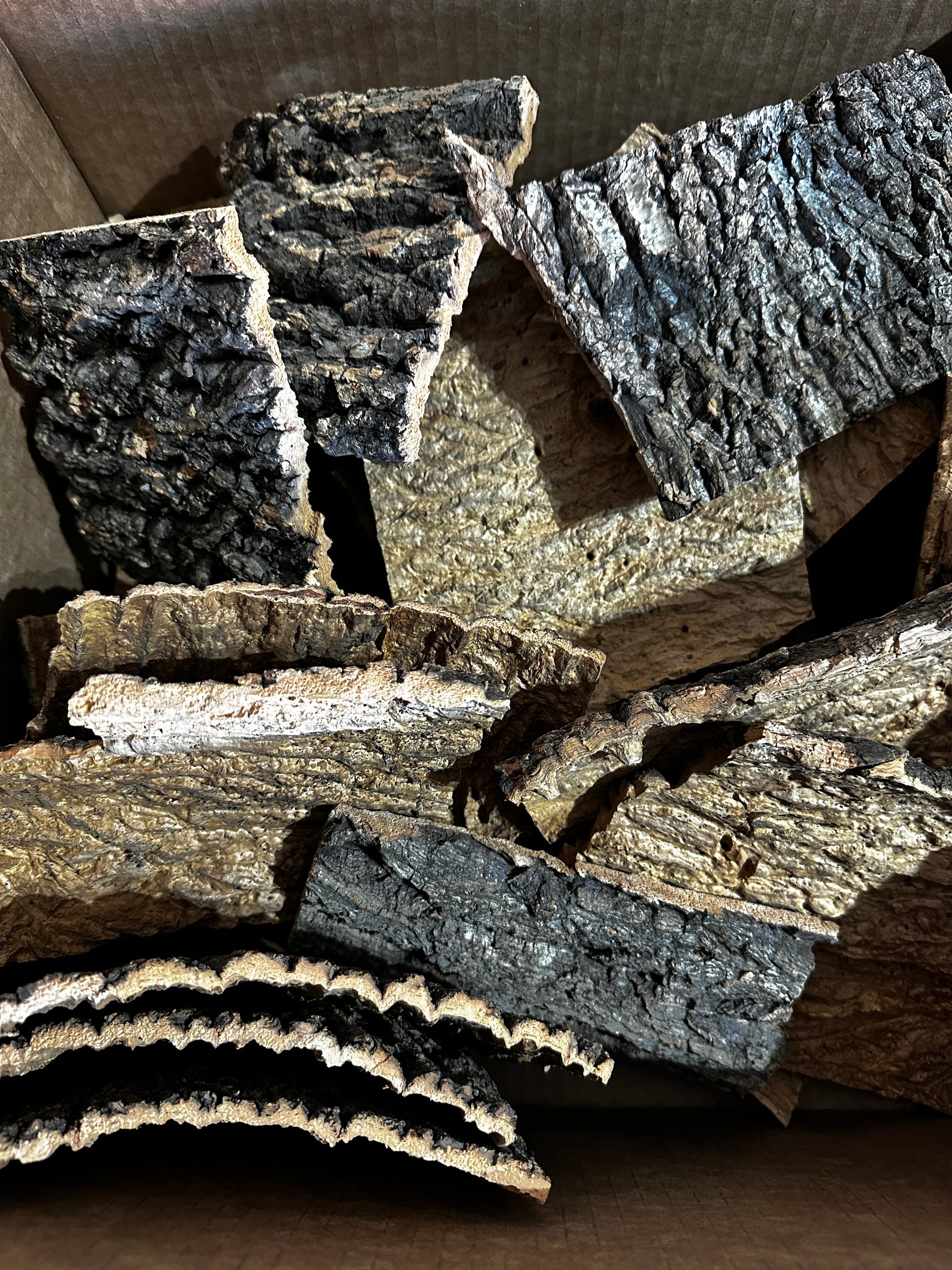 Cork Bark Flats – Holy-Poly Isopods