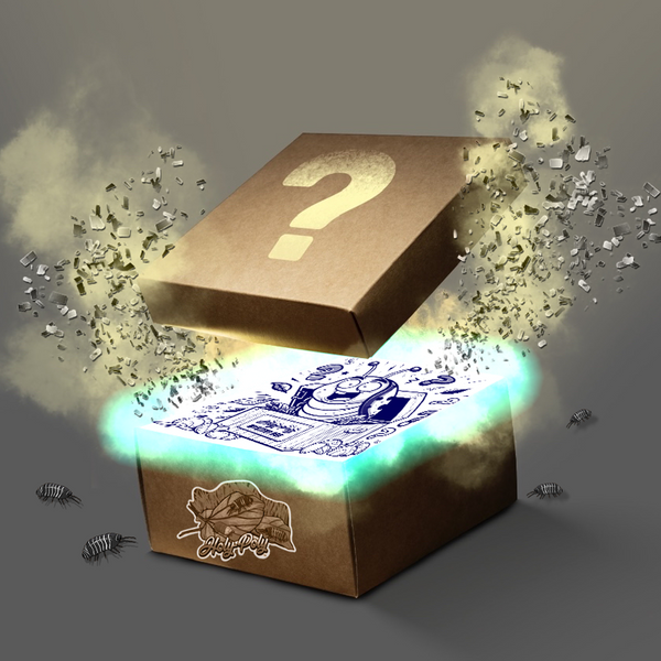 Holy-Poly Isopods Mystery Box